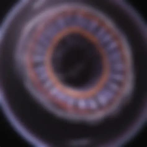 Exploring Coastal Plants Diversity And Adaptations