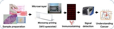 Department Of Proteomics National Cancer Center Research Institute