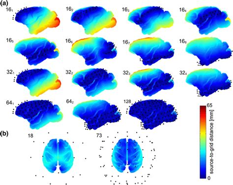 ECoG A And EEG B Grid Layouts For Each Grid Every Point Of The Download Scientific