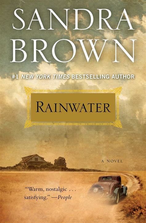 Rainwater Book By Sandra Brown Official Publisher Page Simon