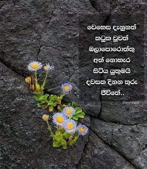 සඳට හිරු සේ ආදරෙයි මං