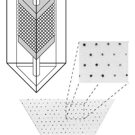 A Schematic Of The Triangular Cell Used To Contain Both Crystalline And Download Scientific