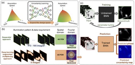 Deep Learning For Physics Based Imaging Tian Lab