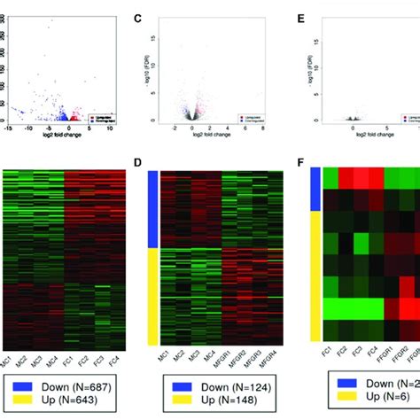 Demonstrates Oil Red Staining Of Fat Droplets Following Adipogenic Download Scientific Diagram