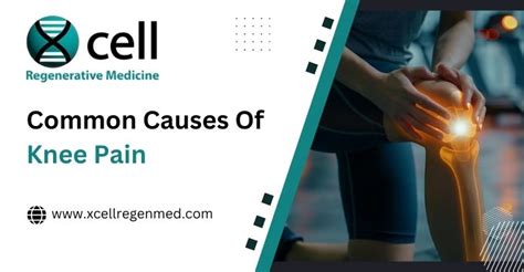 Common Causes Of Knee Pain Xcell Regenerative Medicine