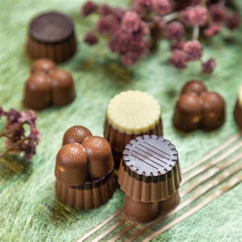 Premium Photo Round Chocolate On A Green Background