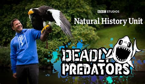 Deadly Predators Bbc Earth Tvfilm Hire Vfx Bullet Time Specialists