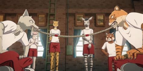 Beastars Legoshis Carnivore Instinct Training Is Heartbreaking