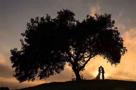 Sharpness Definition What Is Sharpness By Slr Lounge