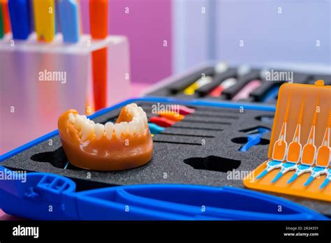 Dental Oral Care Kit Interproximal Brushes At Medical Exhibition