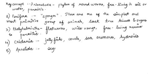 Solved Domain Eukaryota Kingdom Animalia Body Phylum Segmentation