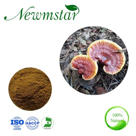 Reishi Mushroom Extract Ganoderma Lucidum Extract 10 1 China Plant