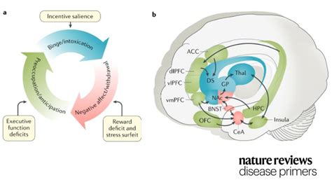 Nature Reviews Disease Primers On Twitter Opioid Addiction Can Be