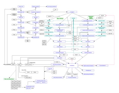 LIPID MAPS