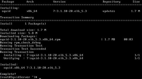 Centos Squid Merlin Tang