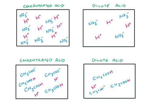 Example Of Concentrated Base At Sara Gardner Blog