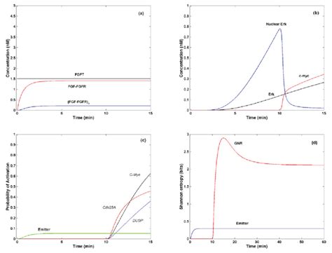 Effect Of Fgf External Concentration On The Dynamic Of The Download Scientific Diagram