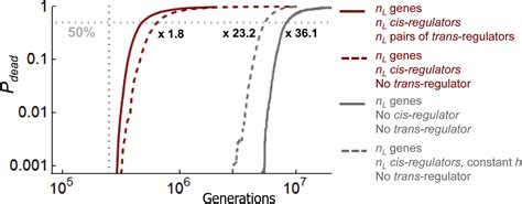 Sex Chromosome Degeneration By Regulatory Evolution Current Biology
