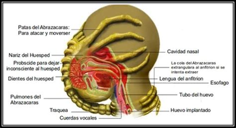 Abrazacaras Ficción Ecured