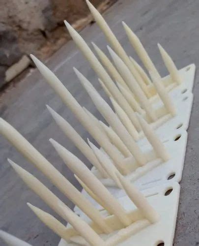 Pp Bird Control Spike Size 3 Inch At Best Price In Rajkot Id