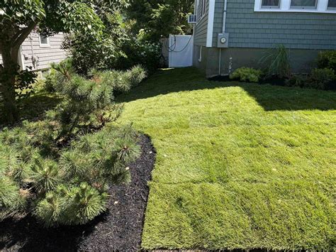 Spring Yard Clean Up Checklist 10 Essential Steps For 2024