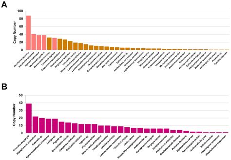 Vanadium Dependent Haloperoxidase Gene Evolution In Brown Algae