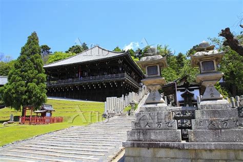 奈良県 東大寺 新緑の二月堂と興成社と良弁杉 24991968 の写真素材 アフロ