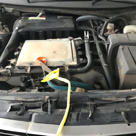 How To Prevent Rats From Eating Car Wires Solutions For Keeping