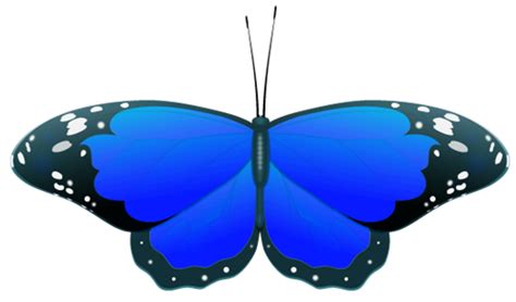 Blue Butterfly Clipart Clipart Panda Free Clipart Images
