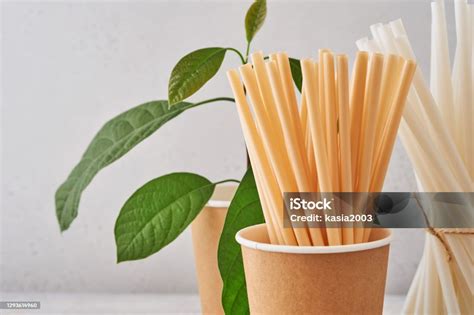 종이와 옥수수 전분으로 만든 튜브 생분해성 재료 및 회색 배경에 녹색 새싹 잎이있는 에코 종이 안경 제로 폐기물 및 플라스틱