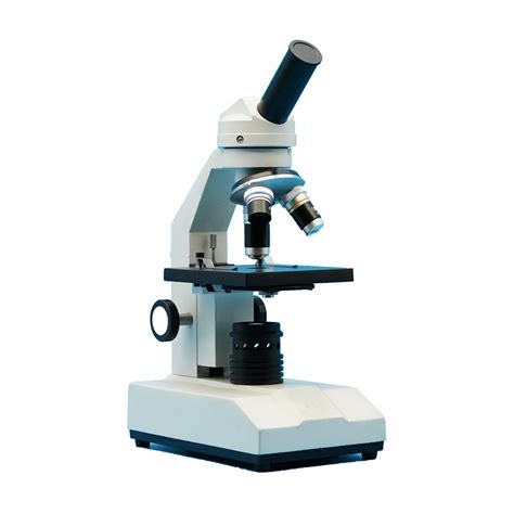 How Do I Use The Coarse Focus On A Student Microscope Blog