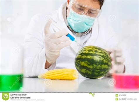 Fruits And Vegetable Testing Services At Best Price In New Delhi
