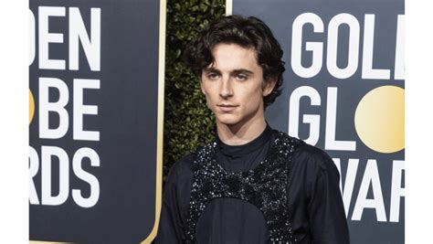 Timothee Chalamet I Didnt Wear A Sex Harness At Golden Globes 8days