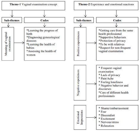 Vaginal Examination Experience Download Scientific Diagram