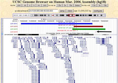 Screenshot From The Ucsc Genome Browser Showing The Positions Of The