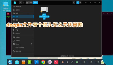 Deepin檔案有個鎖頭怎麼刪除 Deepin刪除帶鎖頭檔案的技巧 Linux Php中文網
