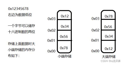 Csdn