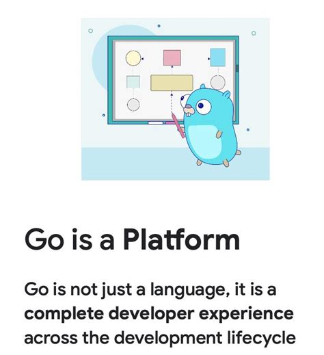 go é mais que uma linguagem de programação é uma plataforma elton
