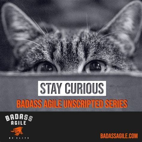Chris Williams Auf Linkedin Badassagile Agility Scrum Unscripted