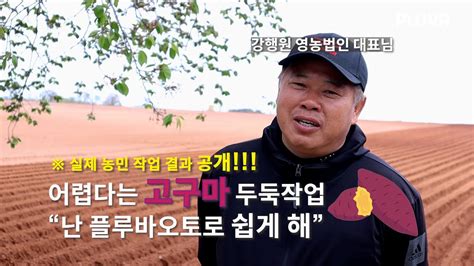 고구마 농사 쉽게 하는 방법 Youtube