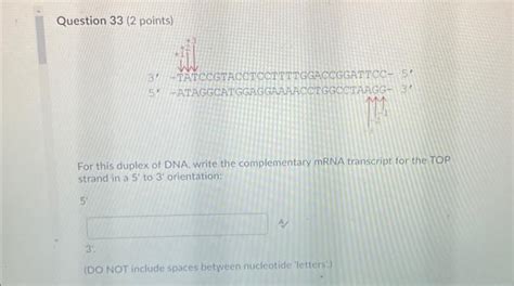 Do Not Include Spaces Between Nucleotide Letters