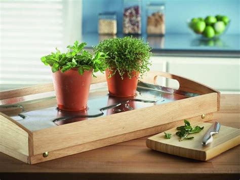 Come Creare Un Piccolo Orto In Casa