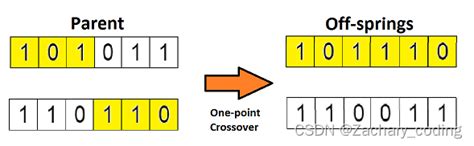 【十分钟速成系列】 遗传算法（ga）（含py代码）ga算法流程图 Csdn博客