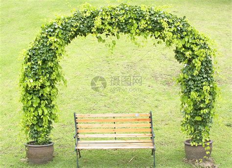 绿色绿草生态院子植物环境草皮植物学刀片生长场地草原高清图片下载 正版图片321831441 摄图网