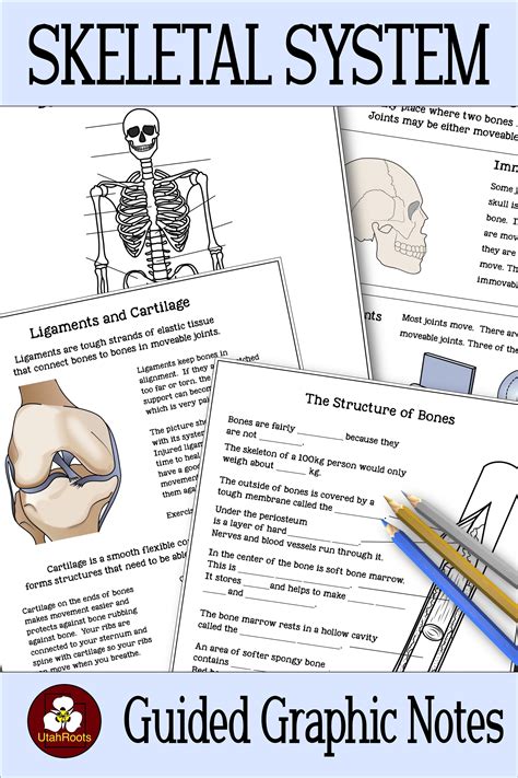Skeletal System Powerpoint Guided Student Notes Works Vrogue Co
