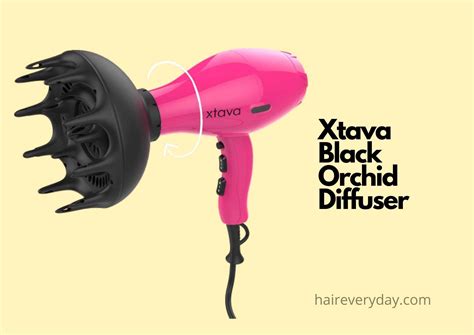 12 Best Diffuser For Curly Hair 2023 For Softer Frizz Free Curls
