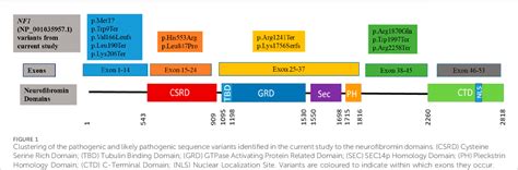Figure 1 From Mutation Analysis And Clinical Profile Of South African