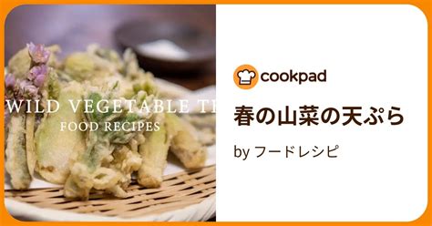春の山菜の天ぷら By フードレシピ 【クックパッド】 簡単おいしいみんなのレシピが396万品