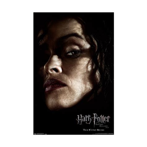 Harry Potter Deathly Hallows Part 1 Poster