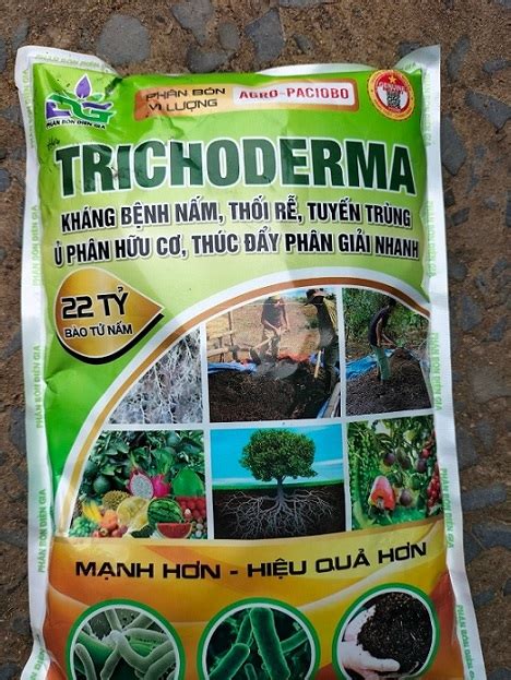 Phân Bón Vi Lượng Nấm Tricoderma